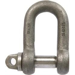 Small Dee Shackle c/w Type A Screw Collar Pin - B & W Lifting